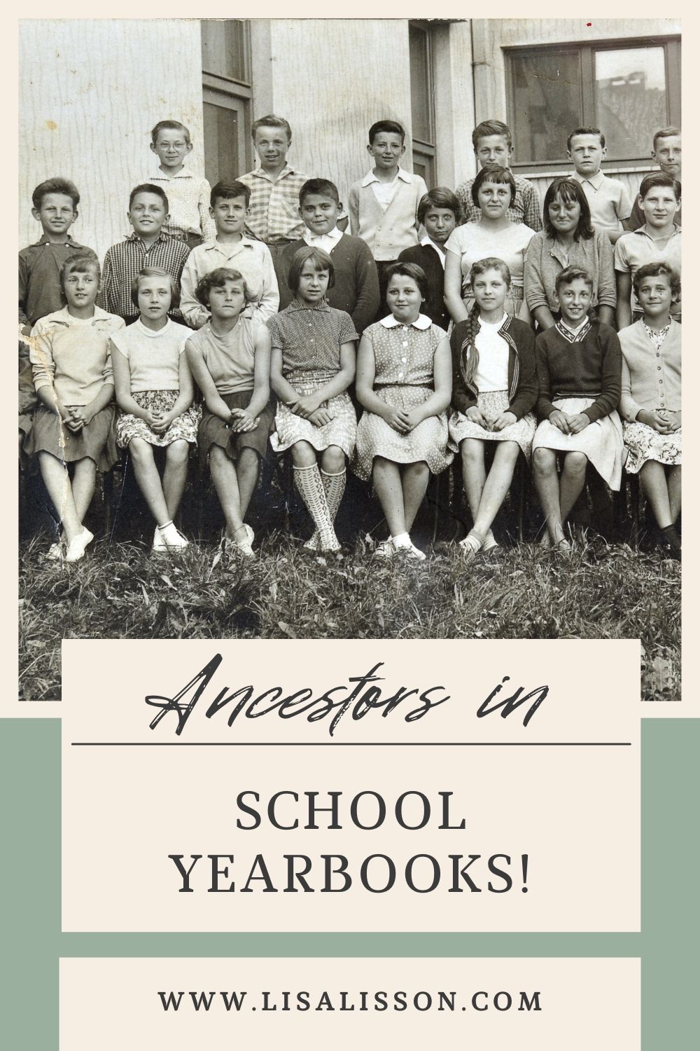 What To Do With Old School Annuals At Della Dawn Blog